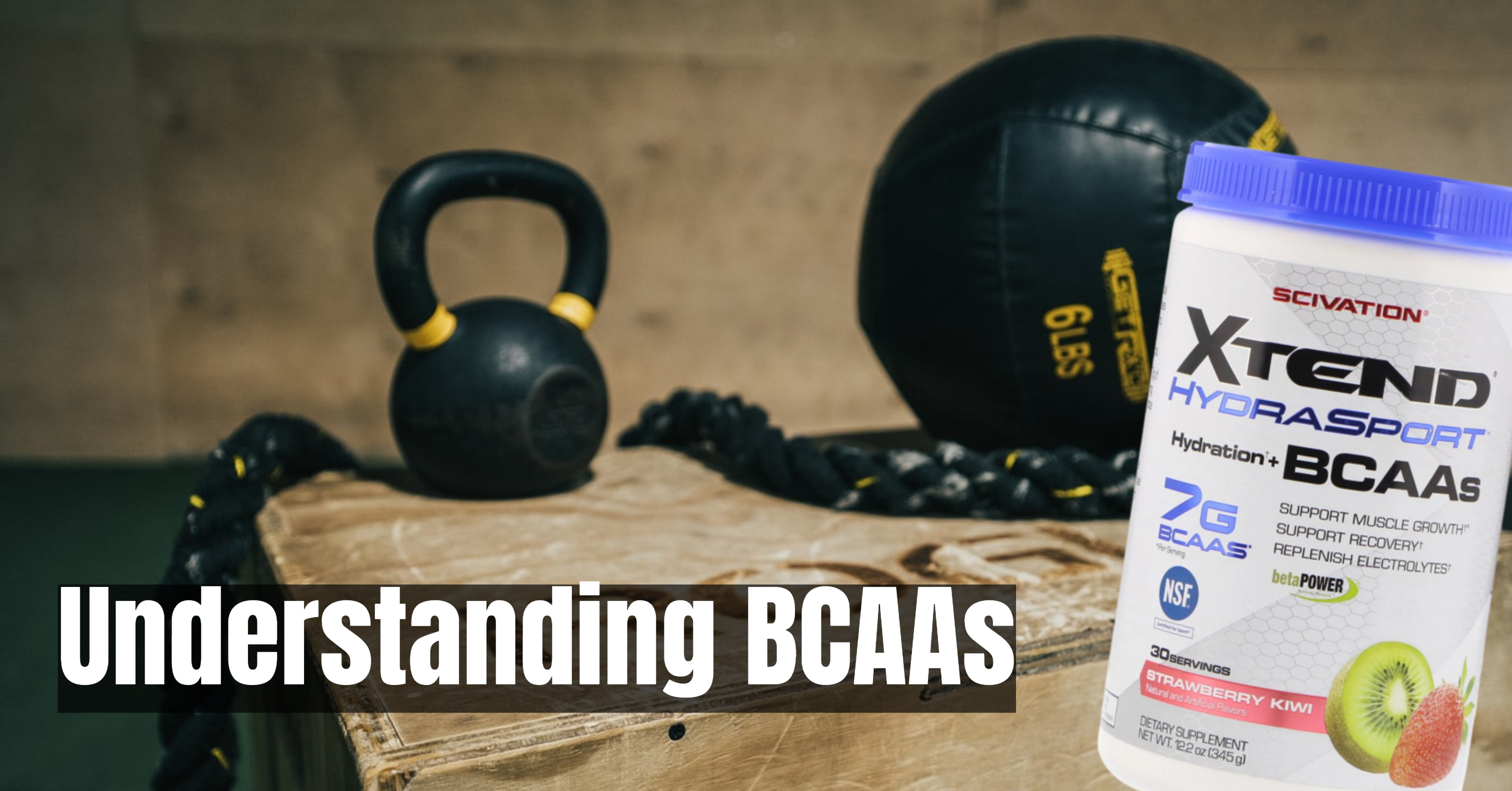 Blog - Understanding BCAAs - Bodybuilding and Sports Supplements