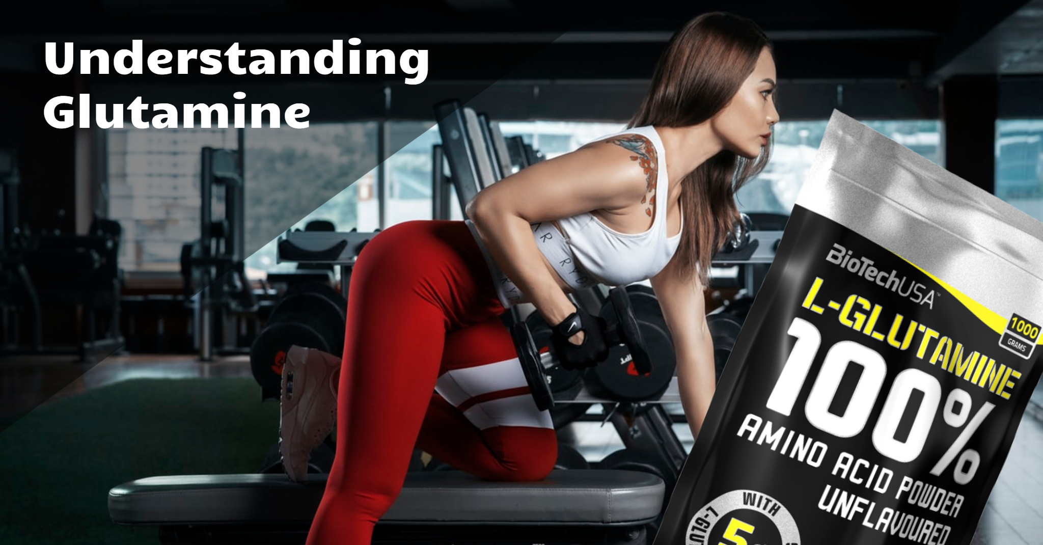 Blog - Understanding Glutamine - Bodybuilding and Sports Supplements