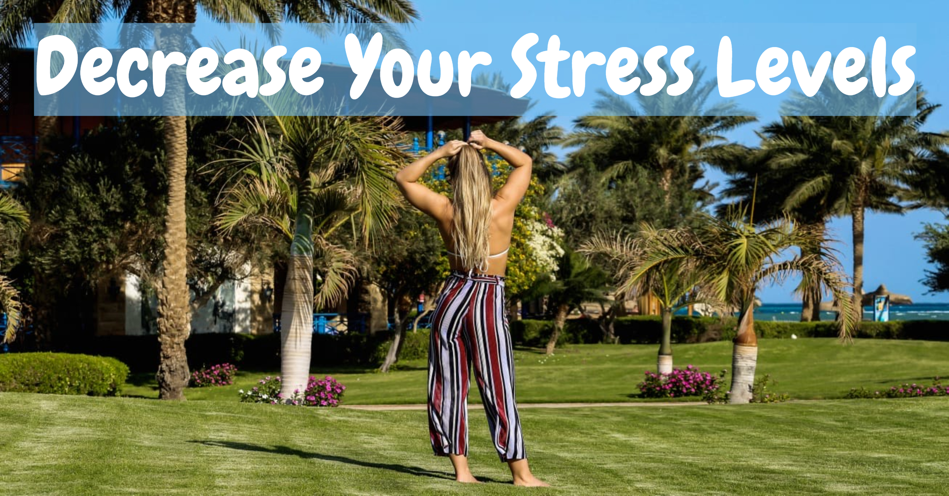 Blog - How to decrease stress - Bodybuilding and Sports Supplements