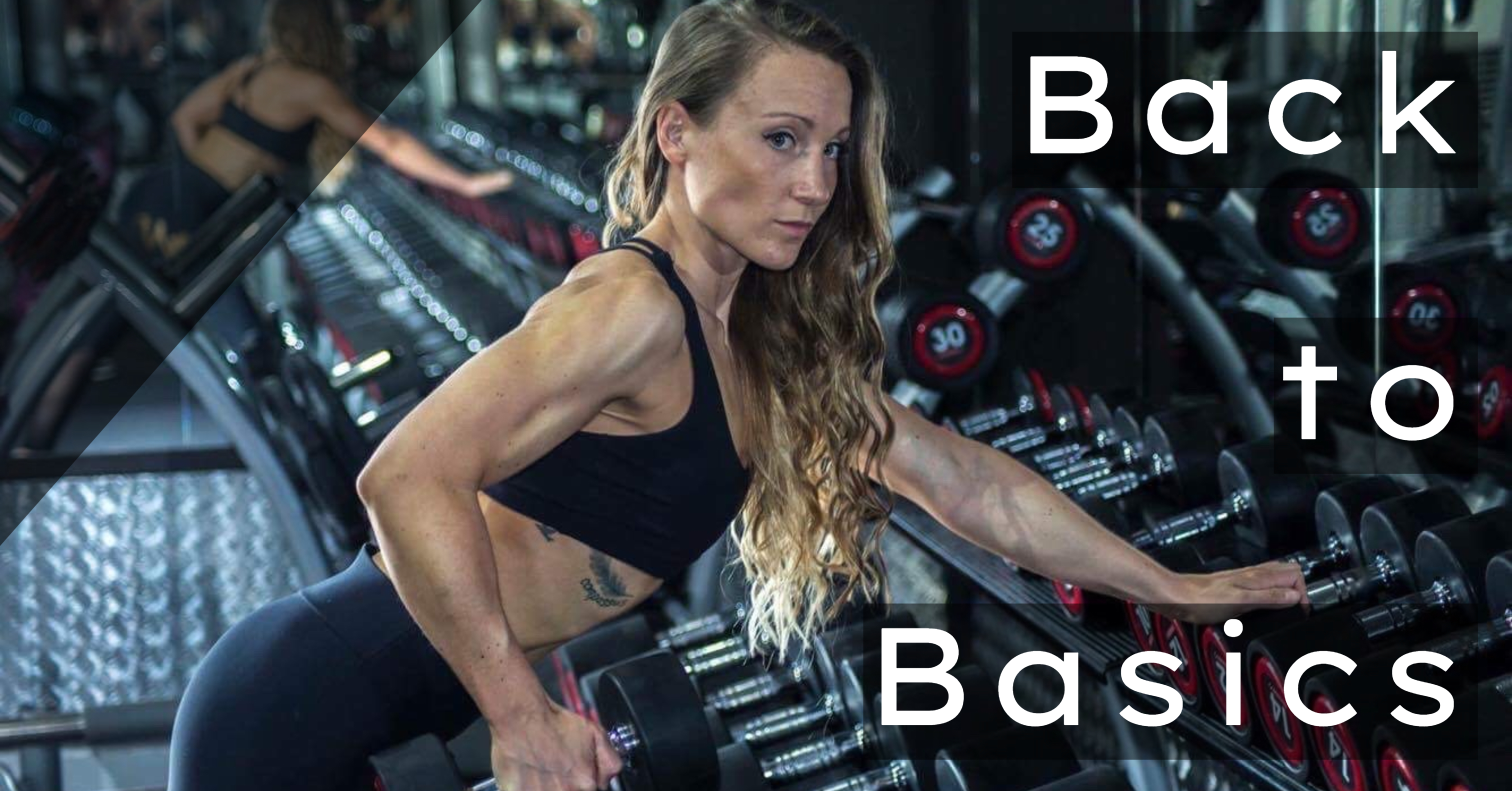 Blog - Back to basics - Bodybuilding and Sports Supplements