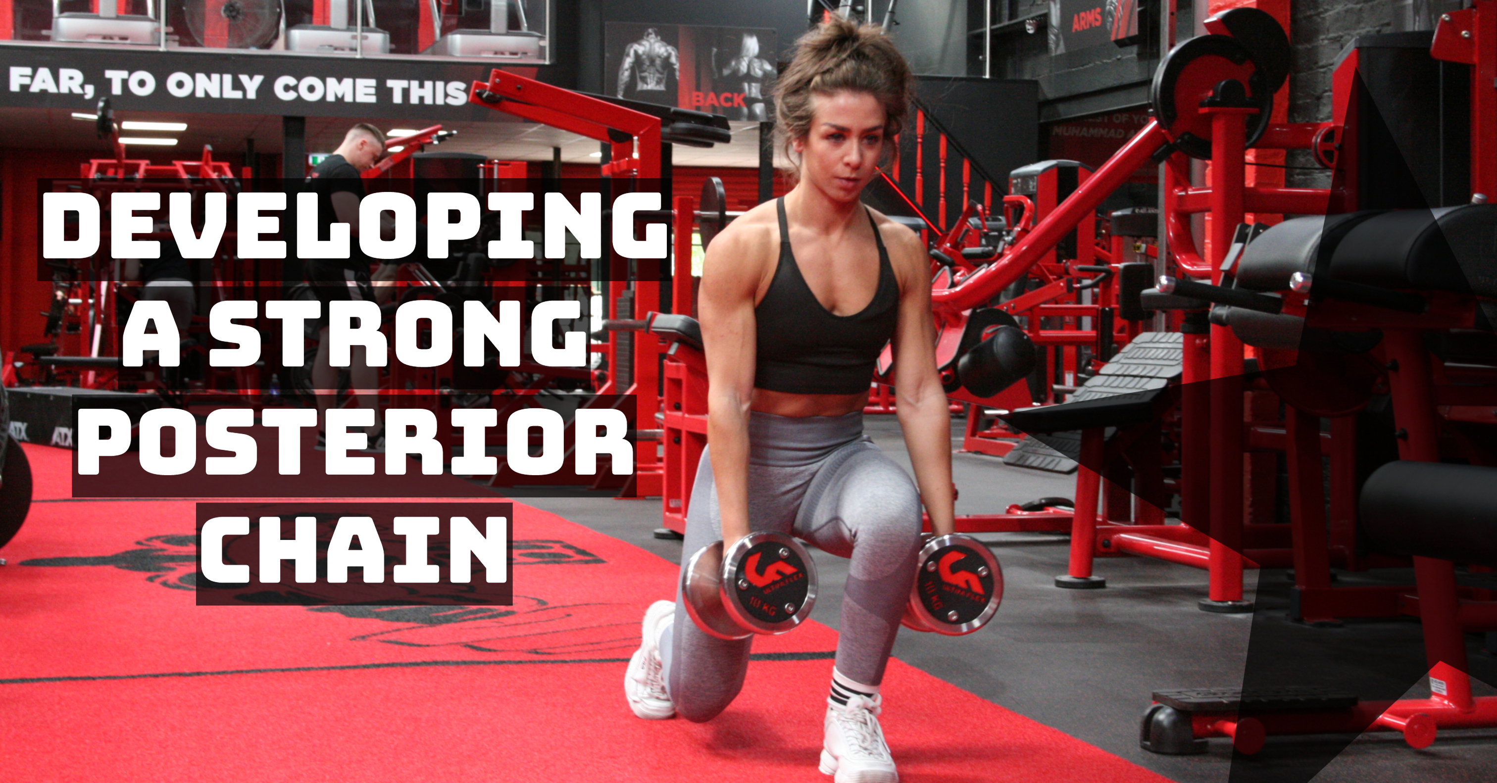 Blog - Building a strong posterior chain - Bodybuilding and Sports ...