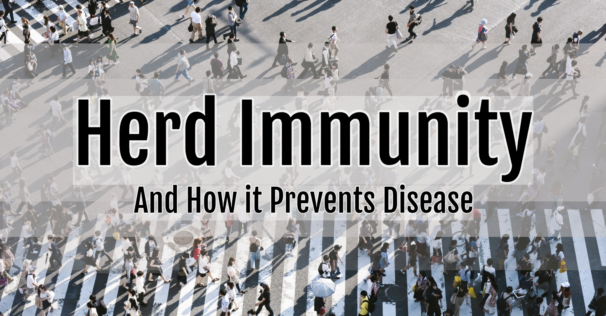 BSN Amino X - Bodybuilding and Sports Supplements