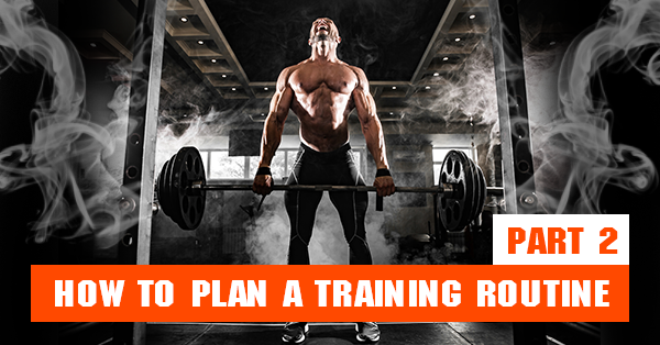 Blog - How to plan a training routine: Part two - Bodybuilding and ...