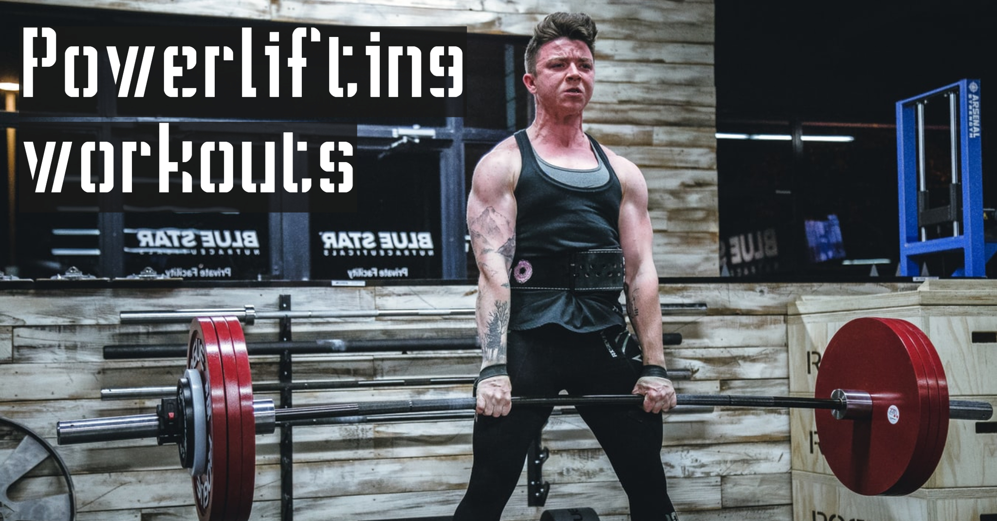 Blog - Powerlifting workouts - Bodybuilding and Sports Supplements