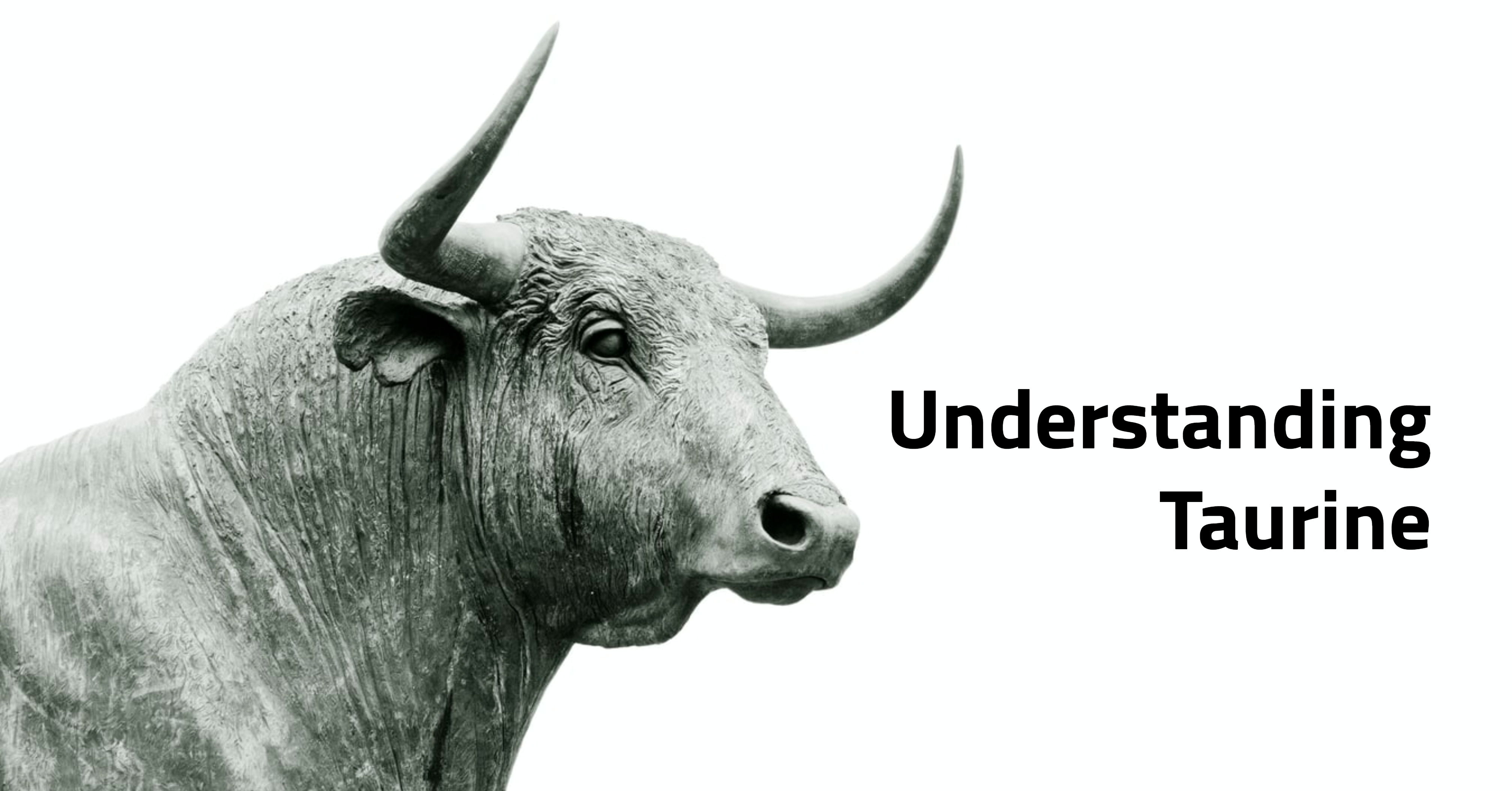 Blog - Understanding Taurine - Bodybuilding and Sports Supplements