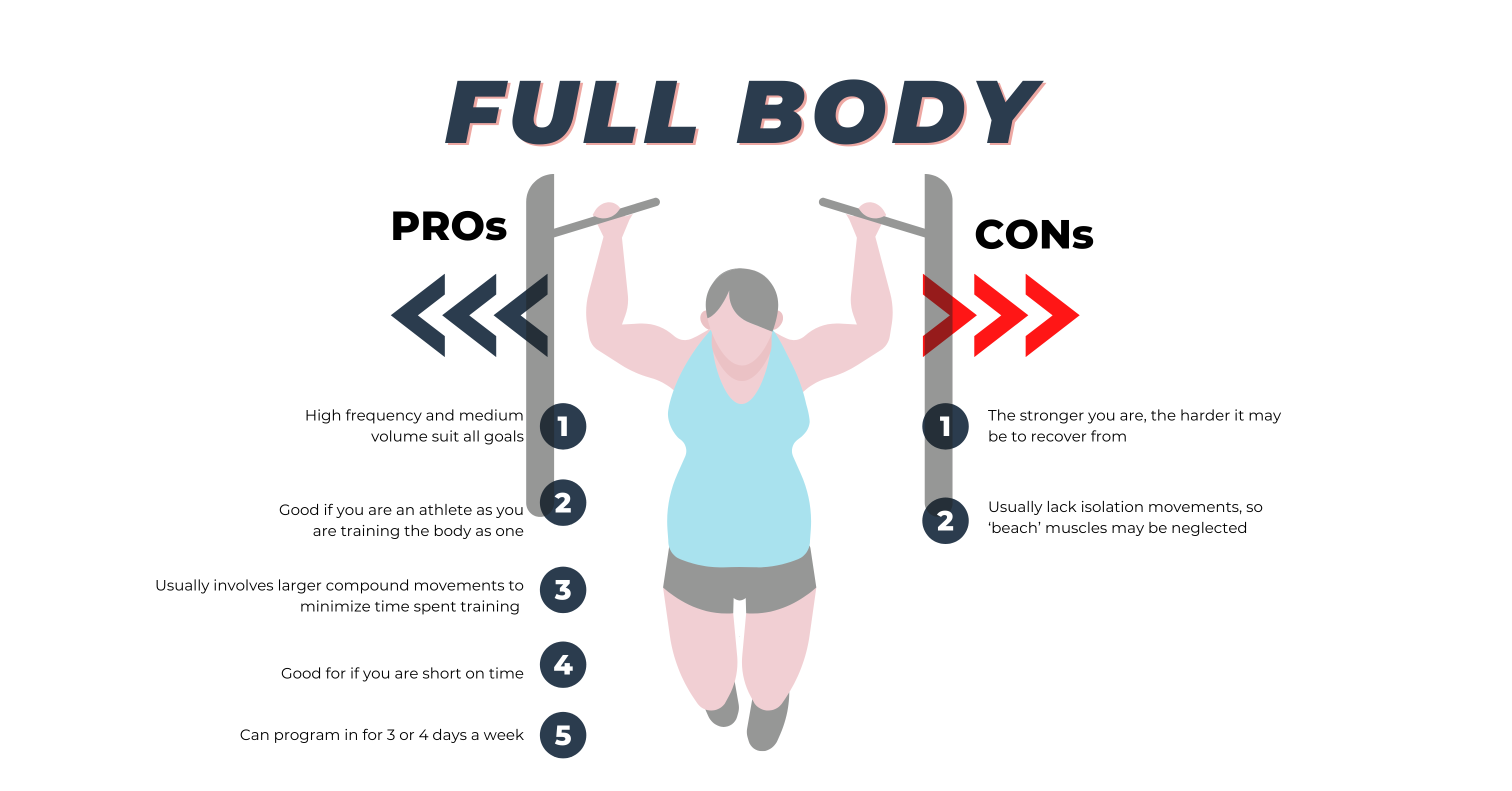 Blog - What training split should I follow? - Bodybuilding and Sports ...