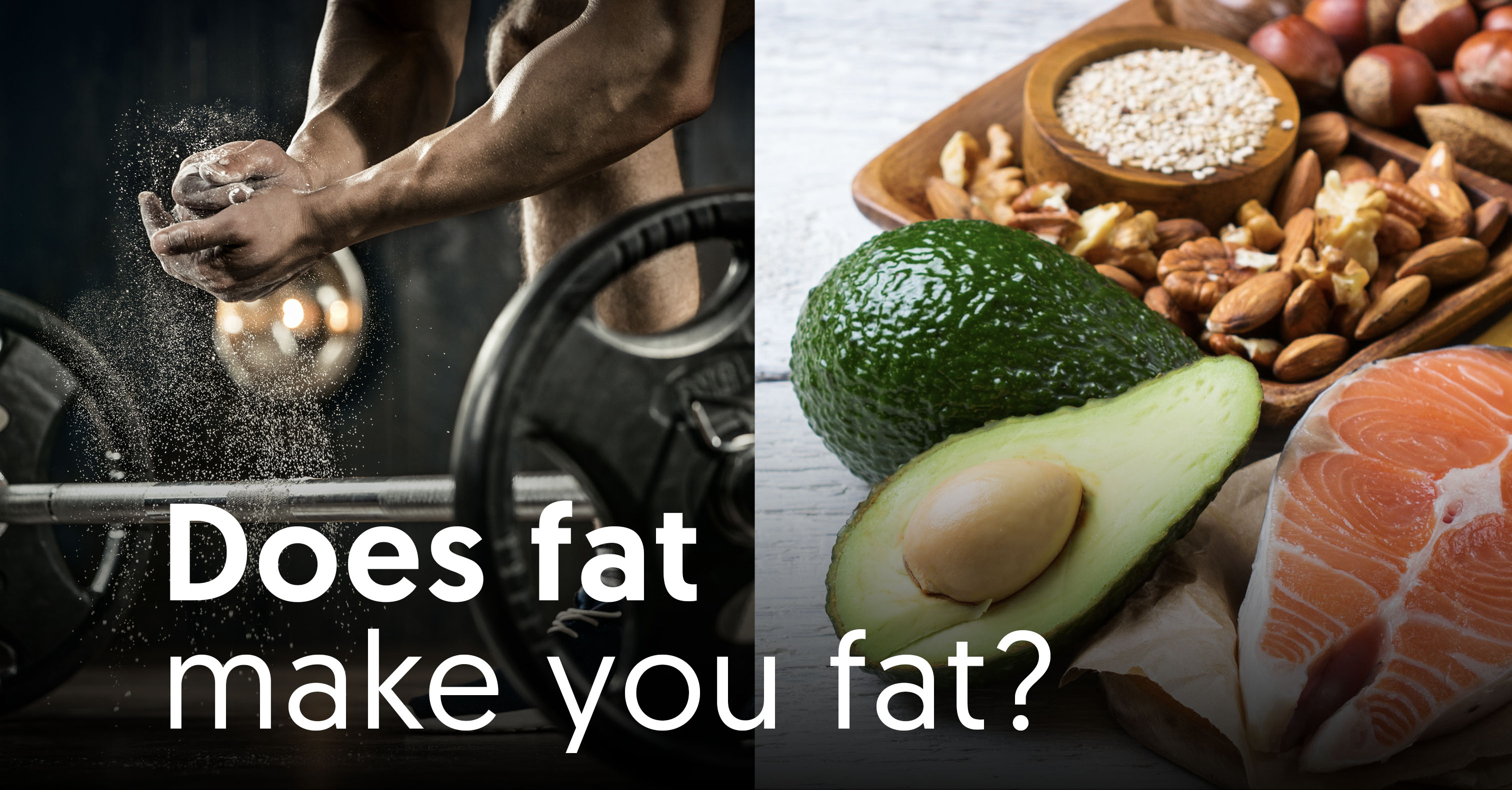 Blog - page: 3 - Bodybuilding and Sports Supplements